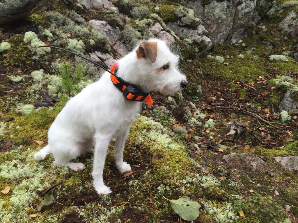 GARMIN T5 MINI Aus version – Australian Tracking Supplies